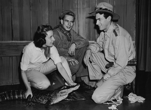 The Captain Penny Show | Mr. Jingeling